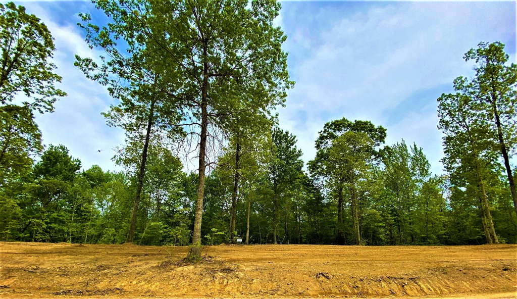 P3 Lot 48 Twin Ponds Road Corbin KY 40701 (House For Sale) | MLS 22013387