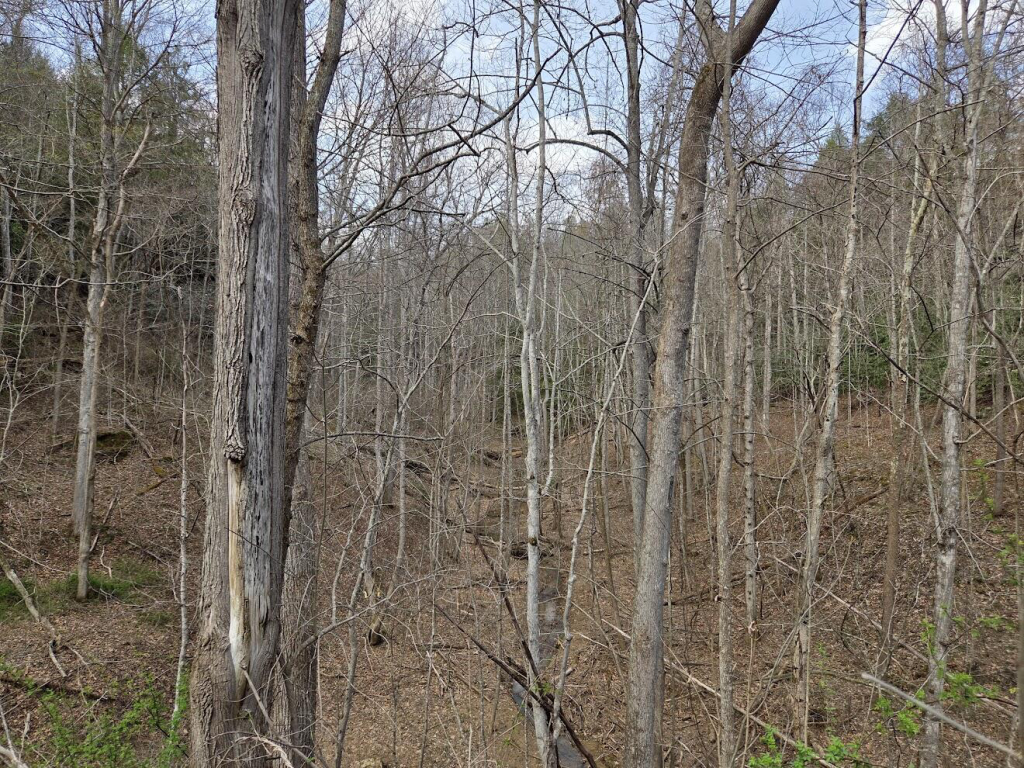 MAP 105800003900 D Street Louisa KY 41230 (House For Sale) | MLS 26001303