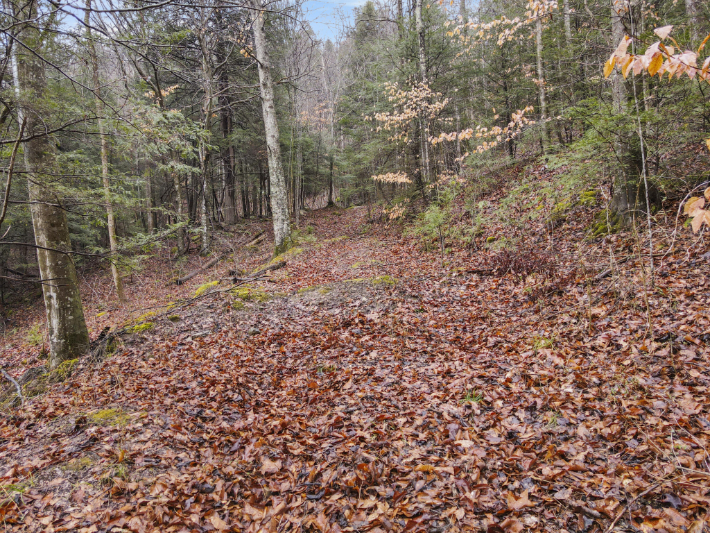 0 0 South Fork Road Stanton KY 40380 (House For Sale) | MLS 26012651