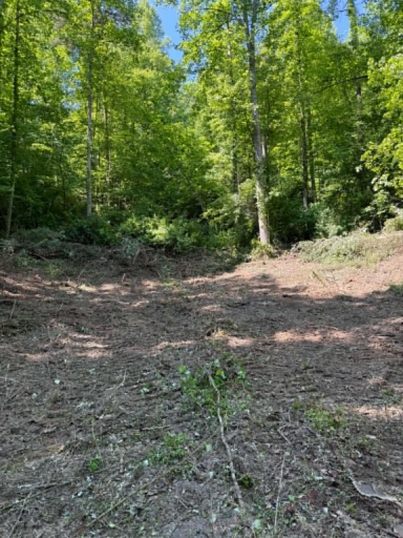 0 Ky706 Road Sandy Hook KY 41171 (House For Sale) | MLS 26012662