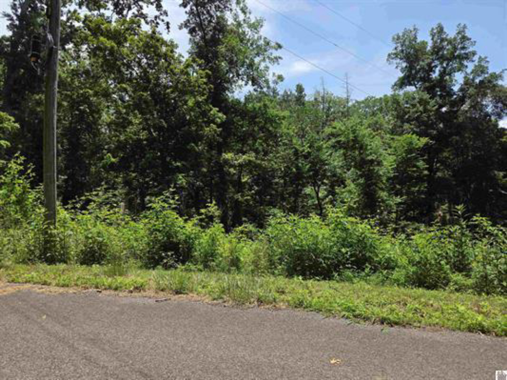 Lot 68 69 Baker Lane Cadiz KY 42211 (House For Sale) | MLS 26013633