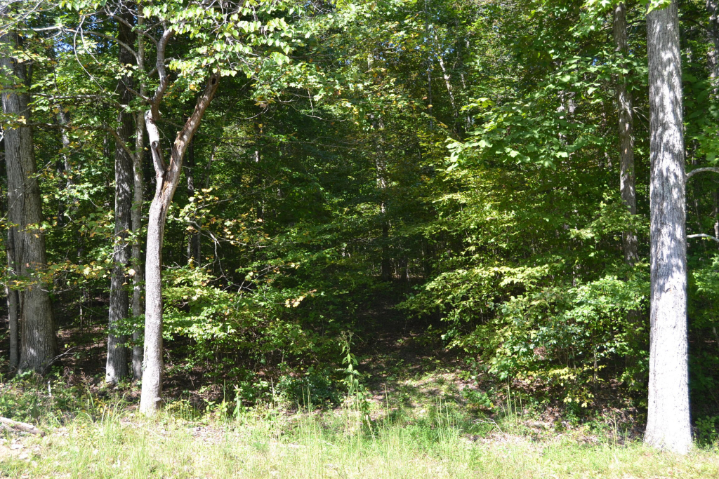 3 Rolling Mill Road Eddyville KY 42038 (House For Sale) | MLS 26014115