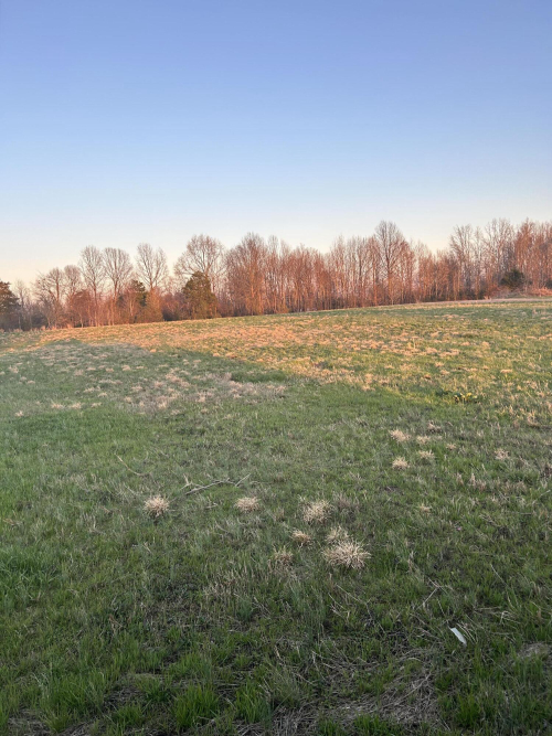 Lot 9 Jonah Kelsey Estates Road Russell Springs KY 42642 (House For ...