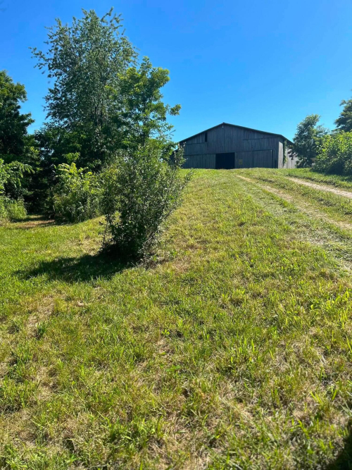 440 Randolph Road Olive Hill KY 41164 (House For Sale) | MLS 26013424